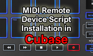 Setting up MIDI Controller Play/Stop Controls in Cubase - Audio Support